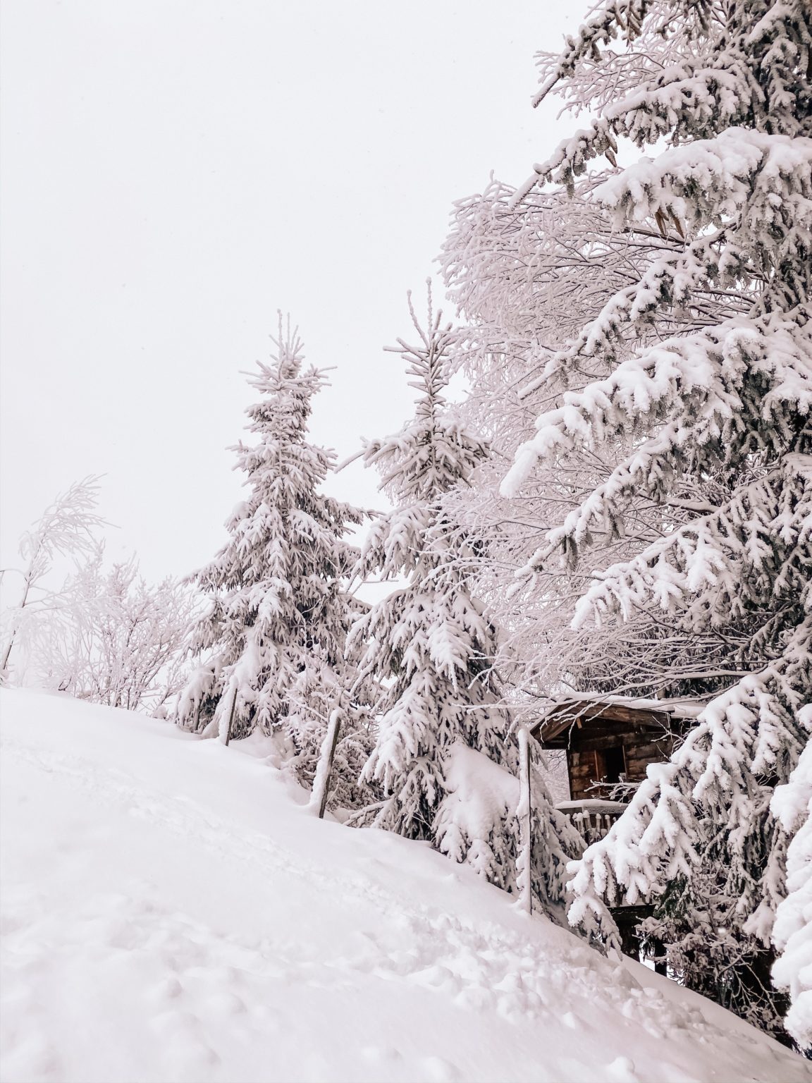 WINTER ALPINE RETREAT AT THE LUXURIOUS NATUR FORSTHOFGUT HOTEL AUSTRIA ...