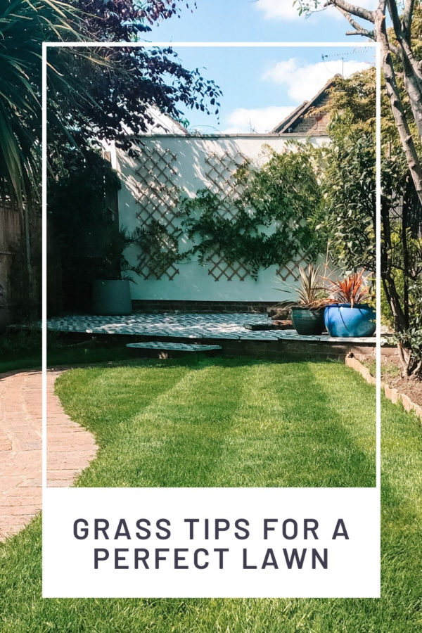 THE SECRETS TO A GREENER GLOSSIER LAWN // GRASS TIPS – Jess Rose