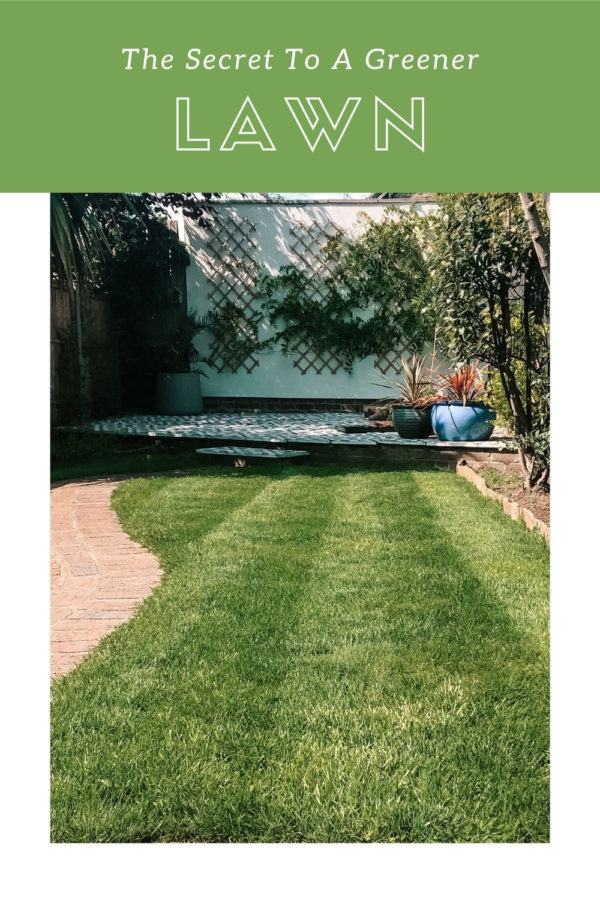 THE SECRETS TO A GREENER GLOSSIER LAWN // GRASS TIPS – Jess Rose