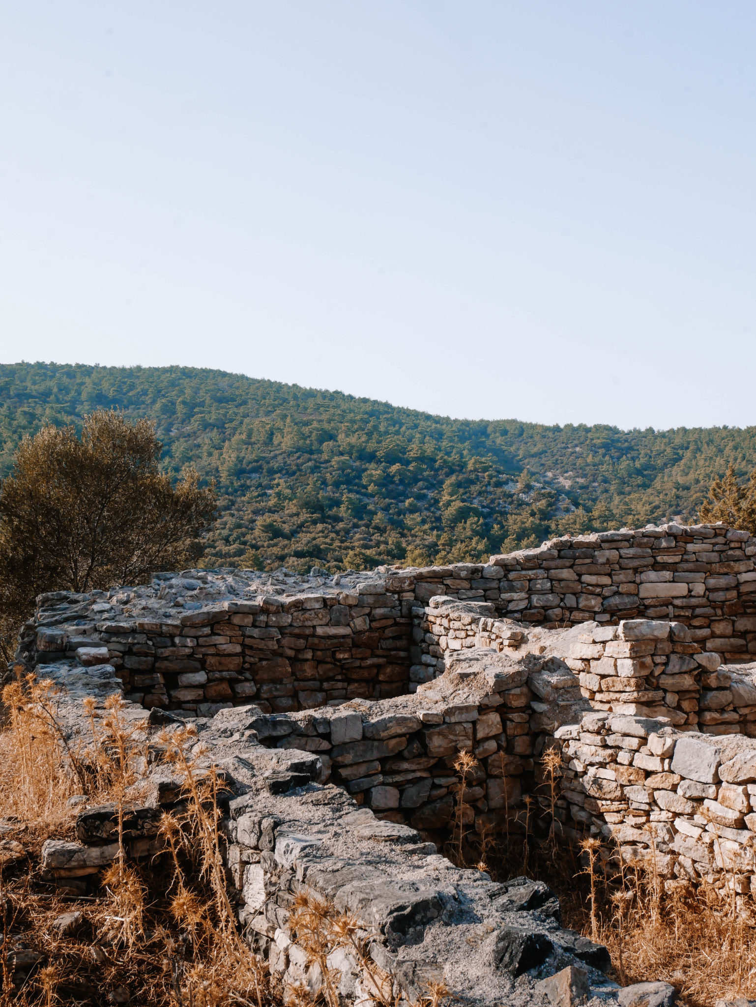 TOP 5 THINGS TO DO IN BODRUM, TURKEY – Jess Rose