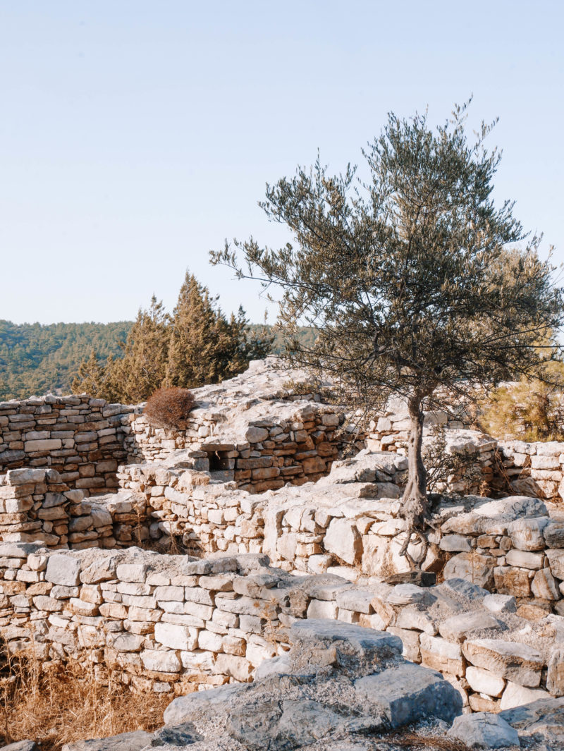 TOP 5 THINGS TO DO IN BODRUM, TURKEY – Jess Rose